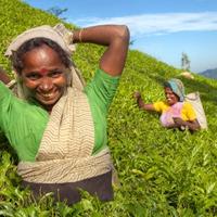 Dr. Reddy's Foundation - Innovating for a sustainable future