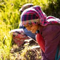 Dr. Reddy's Foundation - Innovating for a sustainable future